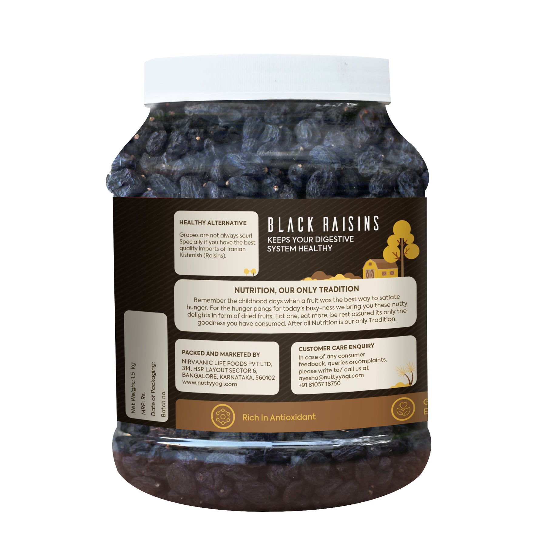 Nutty Yogi Black Raisin 1.5kgs jar (Pack of 1)