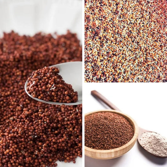 Buy Sprouted Ragi Atta Or Sprouted Finger Millet Flour | Nutty Yogi